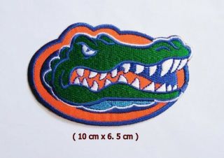 Florida State Seminole Sport Logo Embroidery Patch Iron And Sewing On ...